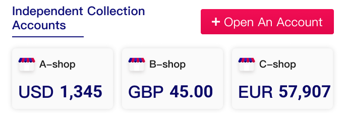 Note: Used to differentiate between your collection accounts